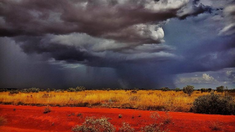 Stories – Byamee Institute